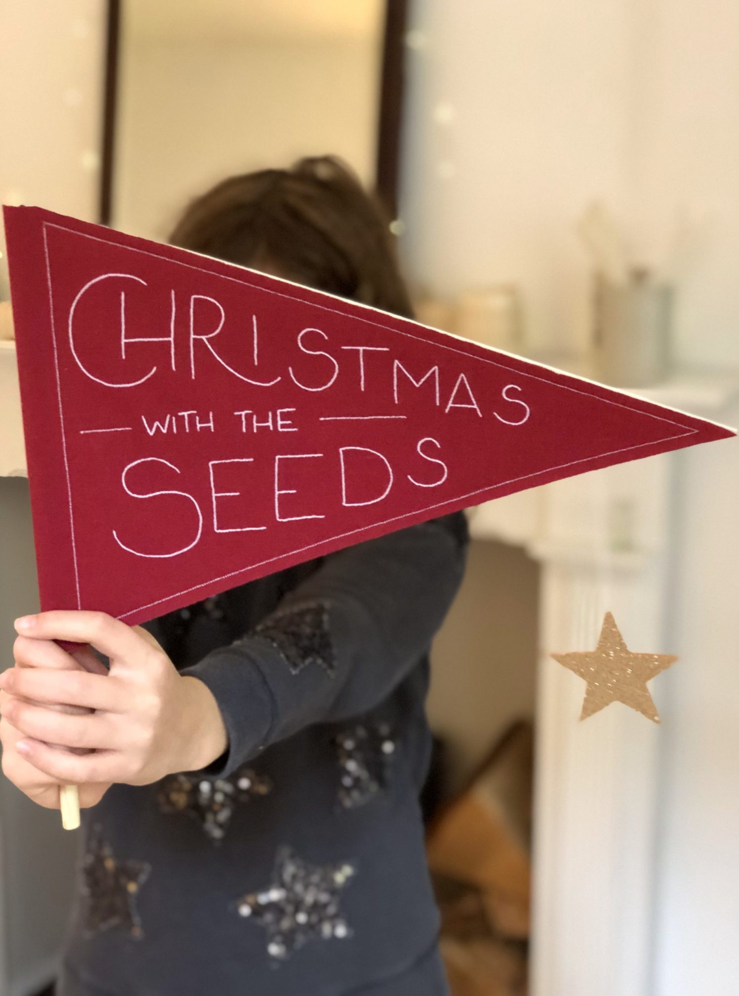 Personalised pennant flag Christmas tree topper - Emma Giacalone Textiles